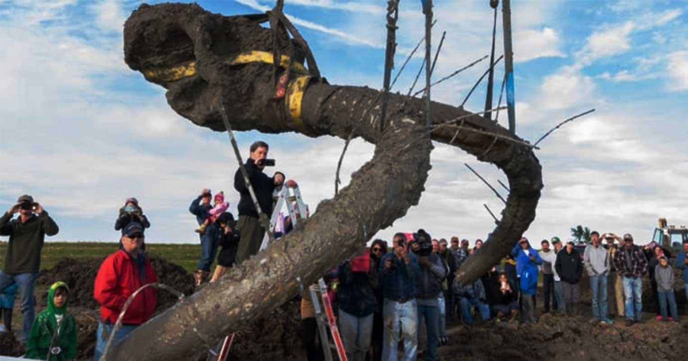 Michigan Farmer Found 15,000-Year-Old Woolly Mammoth Remains in His Field Michigan Farmer Found 15,000-Year-Old Woolly Mammoth Remains in His Field